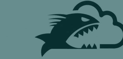 CloudGoat: The ‘Vulnerable-by-Design’ AWS Environment - Rhino Security Labs